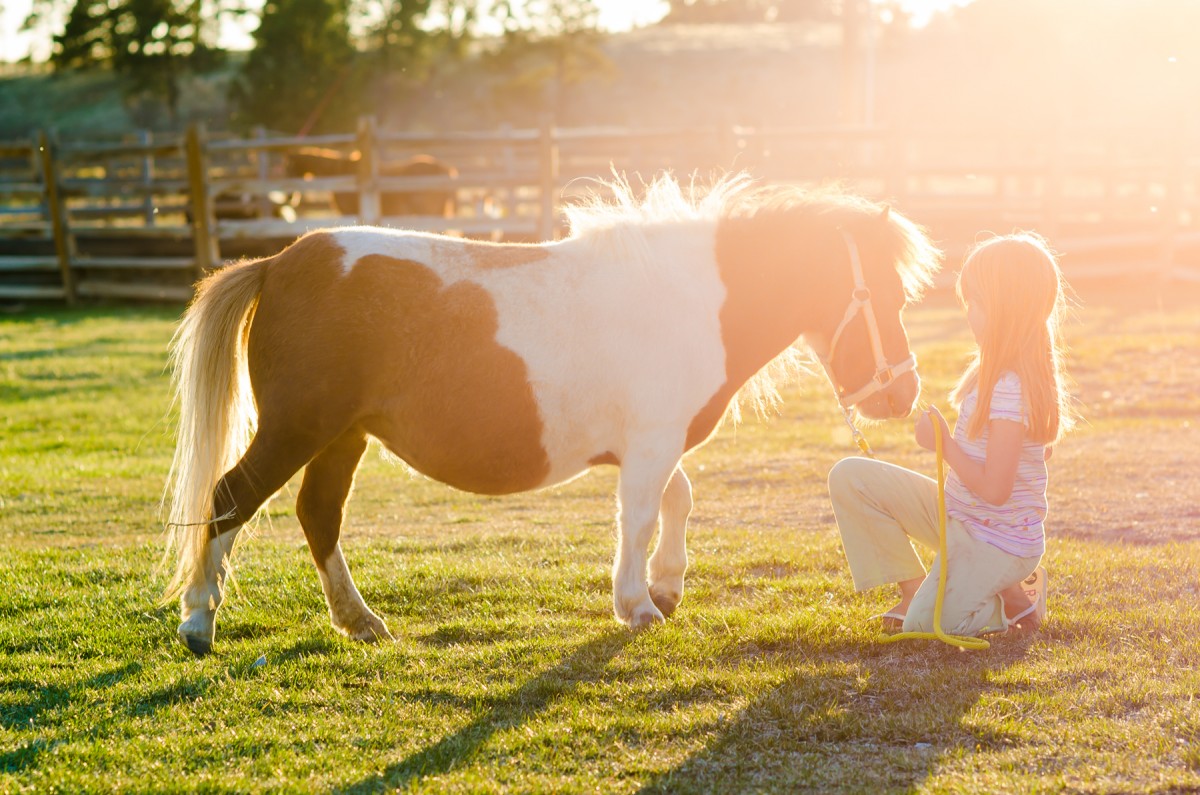 Zion Mountain Ranch | Cabins and Lodges in East Zion National Park