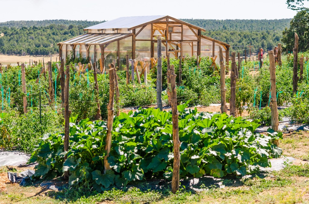 Zion Mountain Ranch | Cabins and Lodges in East Zion National Park
