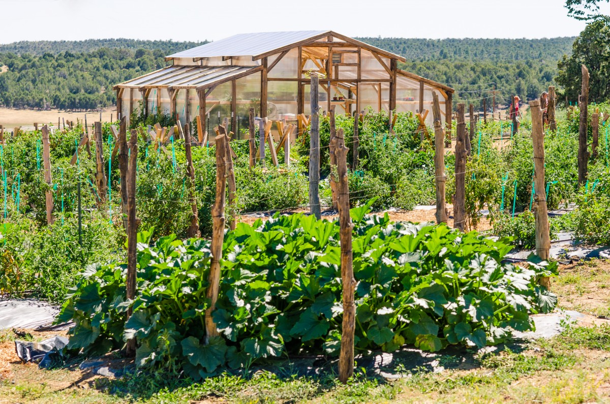Zion Mountain Ranch | Cabins and Lodges in East Zion National Park