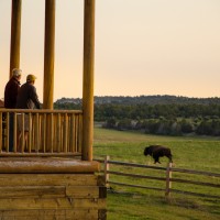 Photos | Zion Mountain Ranch