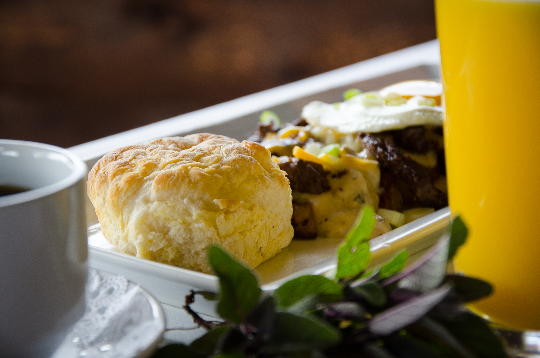 Photos | Zion Mountain Ranch